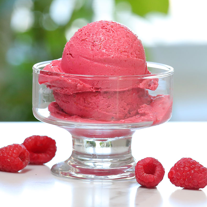 Raspberry Frozen Yogurt - The Domestic Geek