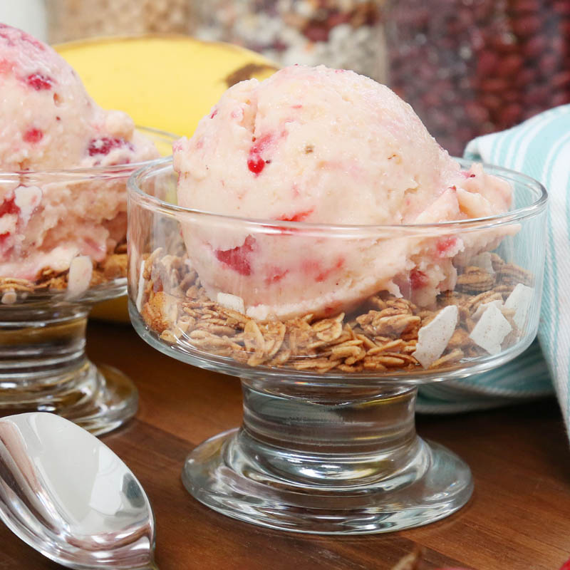 Tropical Breakfast FroYo - The Domestic Geek